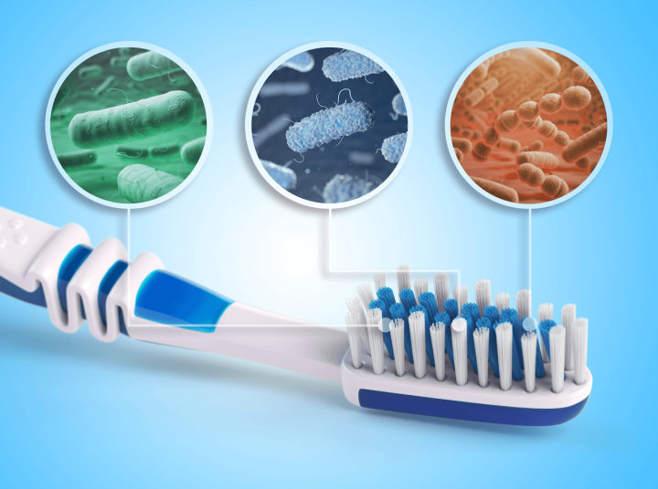 Can Poop Particles Really Get on My Toothbrush? - JonEvac